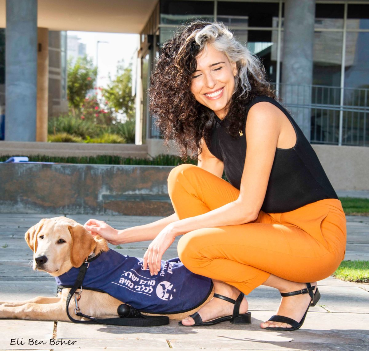 Hebrew Commands for Guide Dogs