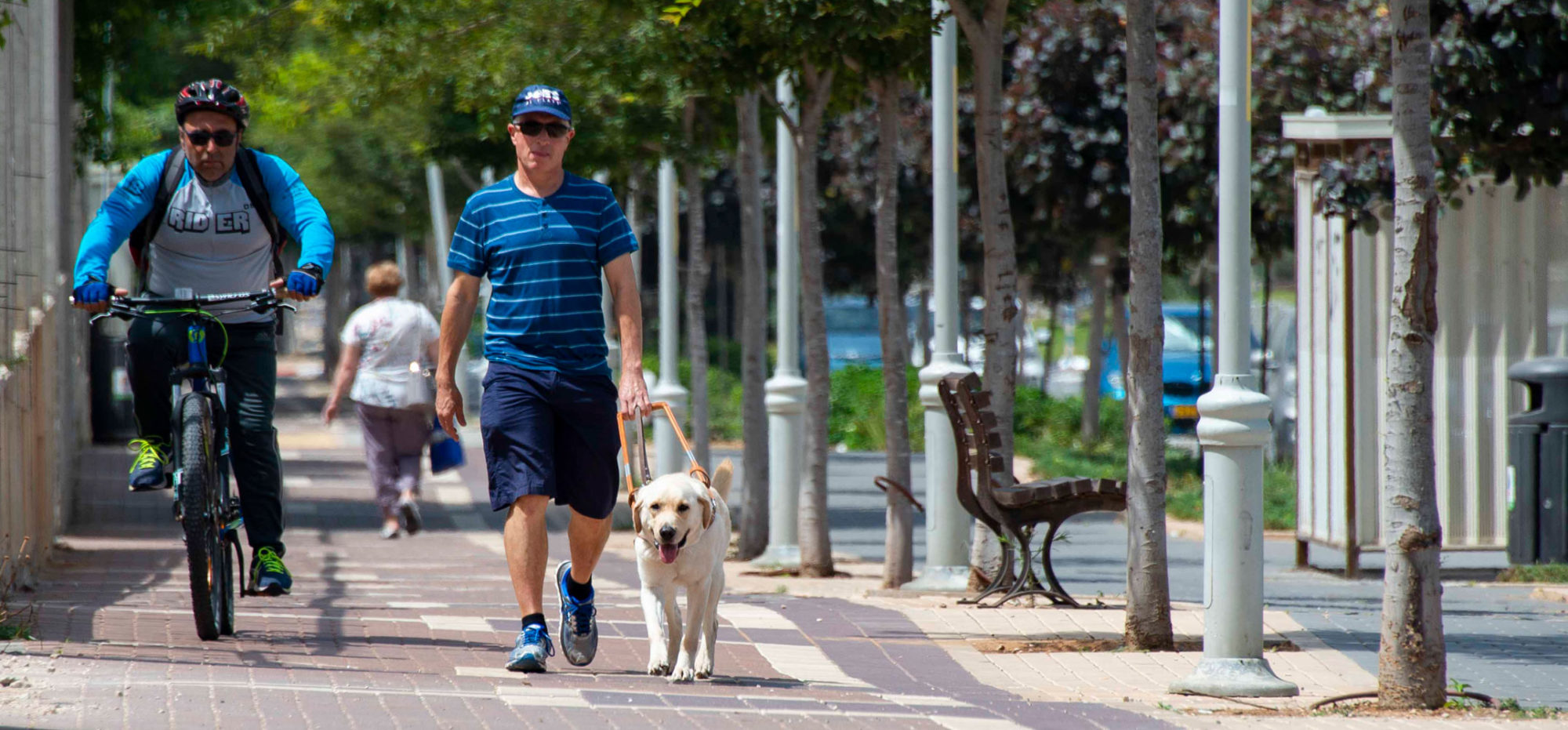 Home - Israel Guide Dogs