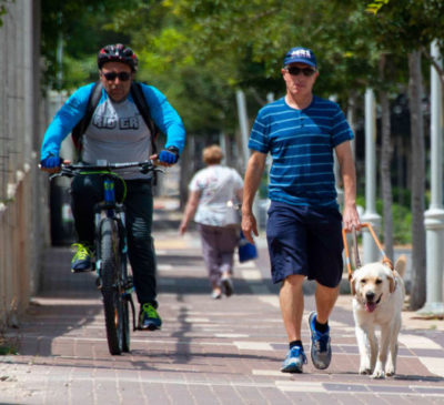 Home - Israel Guide Dogs