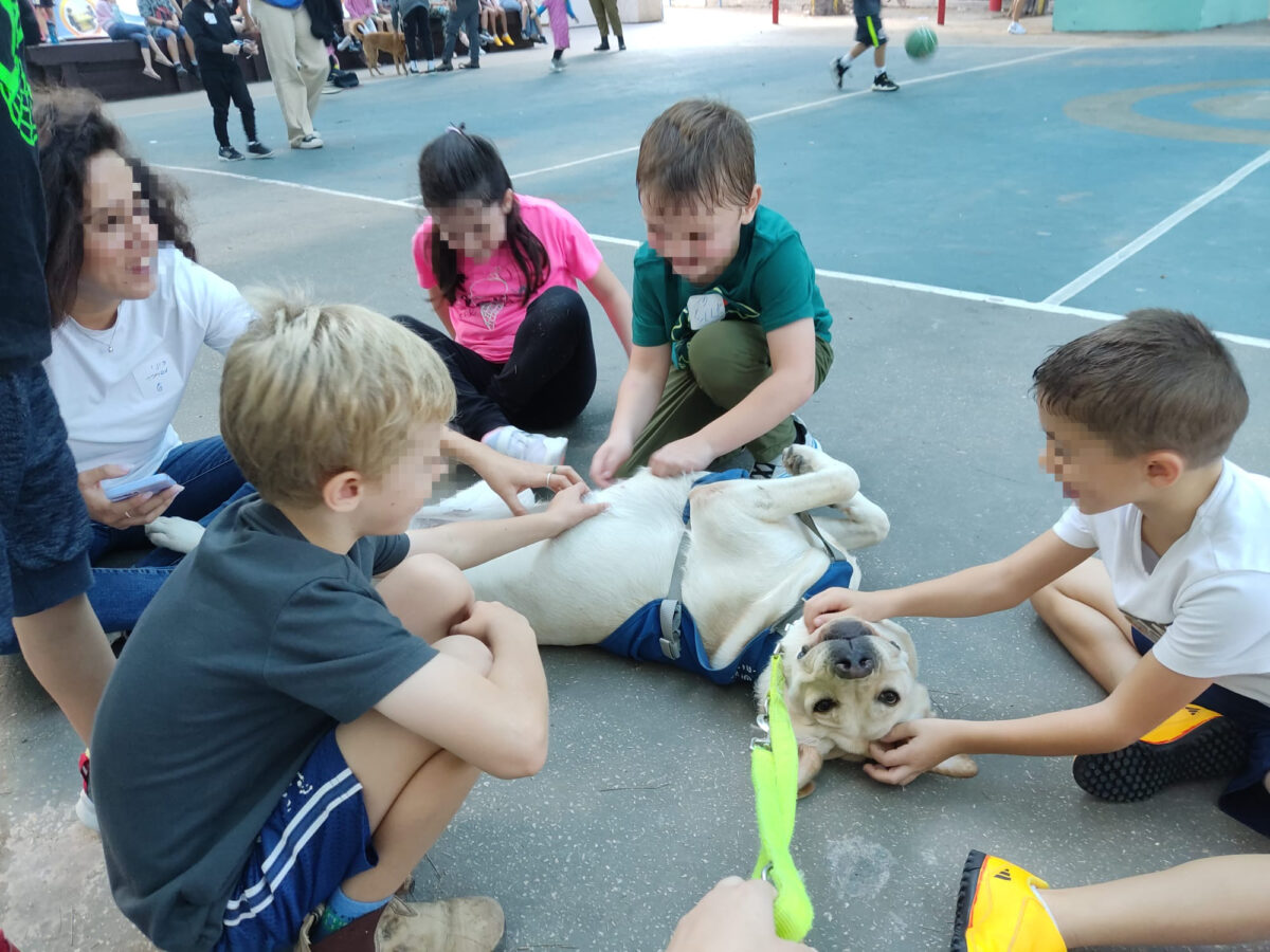 Service Dogs in War - Israel Guide Dog Center