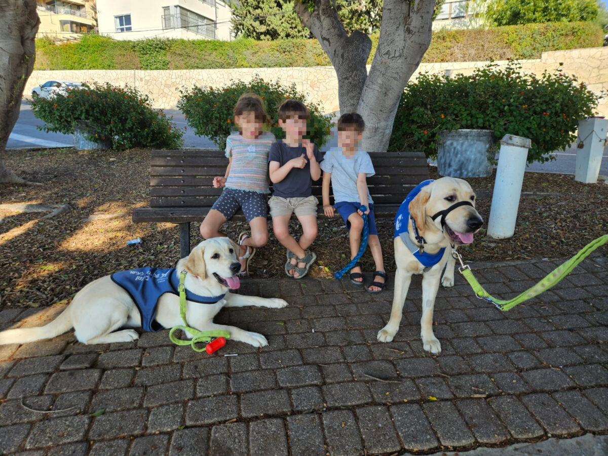 Service Dogs in War - Israel Guide Dog Center